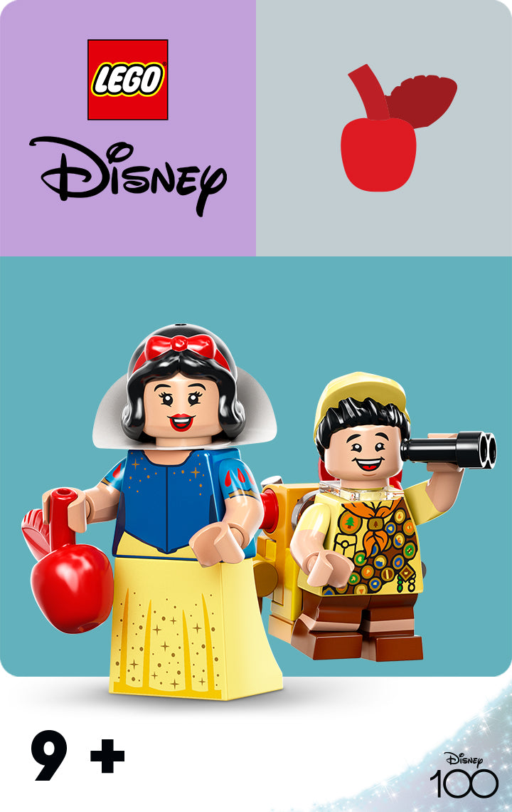 Disney™ – Box Of Bricks